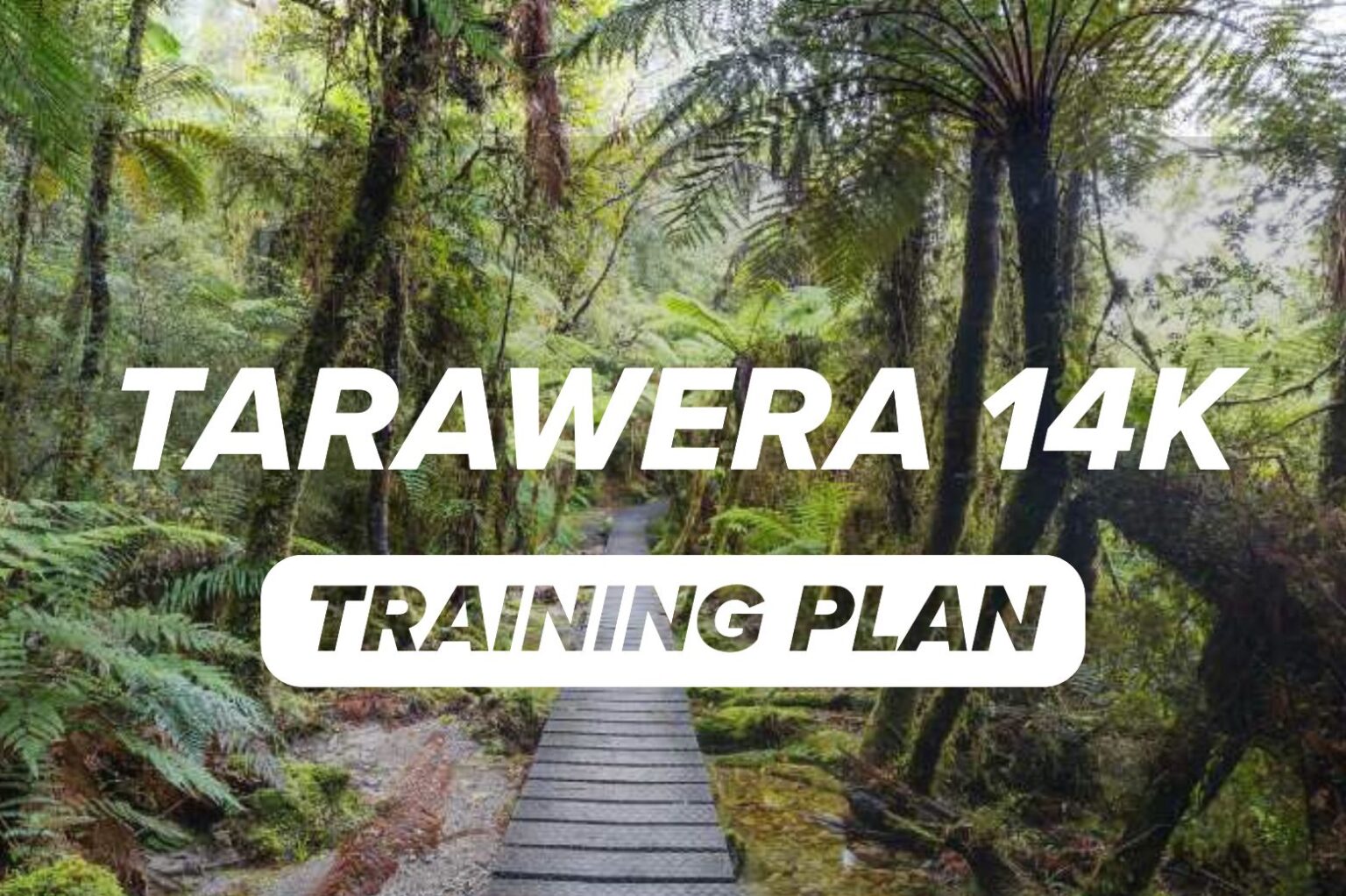 Ultra Trail Tarawera Training Plans 2026 - Streek App